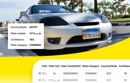 BISS: Egyptian Car Plate Recognition with ANPR